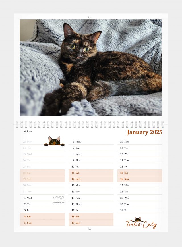 Tortoiseshell Cats Calendar 2025