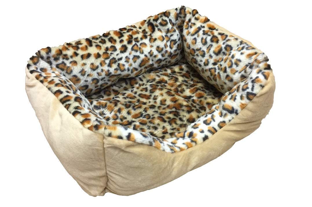 Tortoiseshell cats and kittens - your guide to Tortoiseshell cats